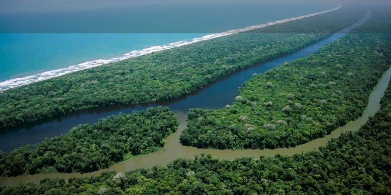 ¡Pococí, un cantón productor y turístico! – Pococí Cámara de Turismo y ...